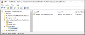 AD Certificate Services | Components of a PKI: Part 4